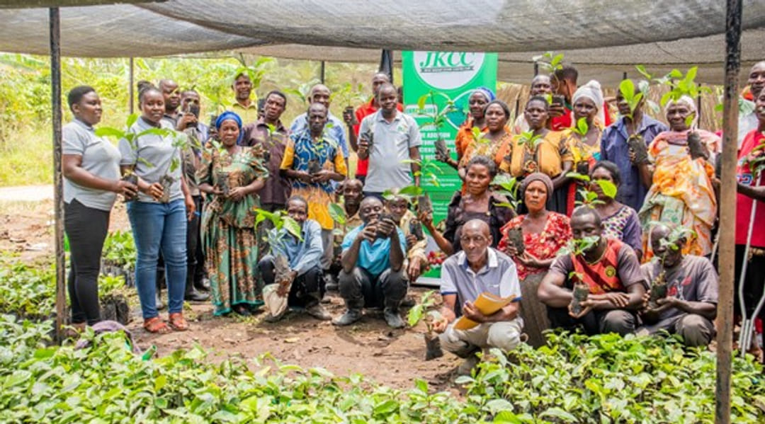 JKCC raises a USD 6.5m subordinated loan from IDH Farmfit