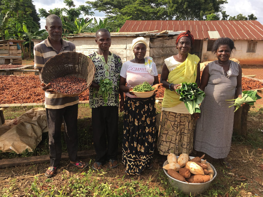 Nestle Income Accelerator Programme