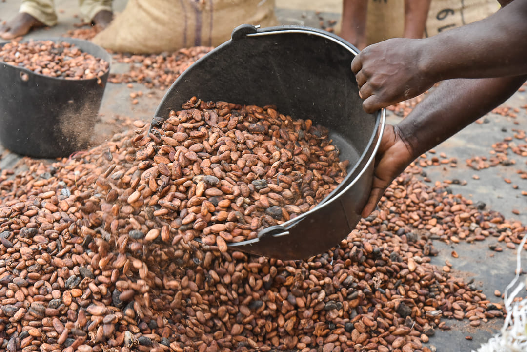 Beyond Chocolate - terms of reference