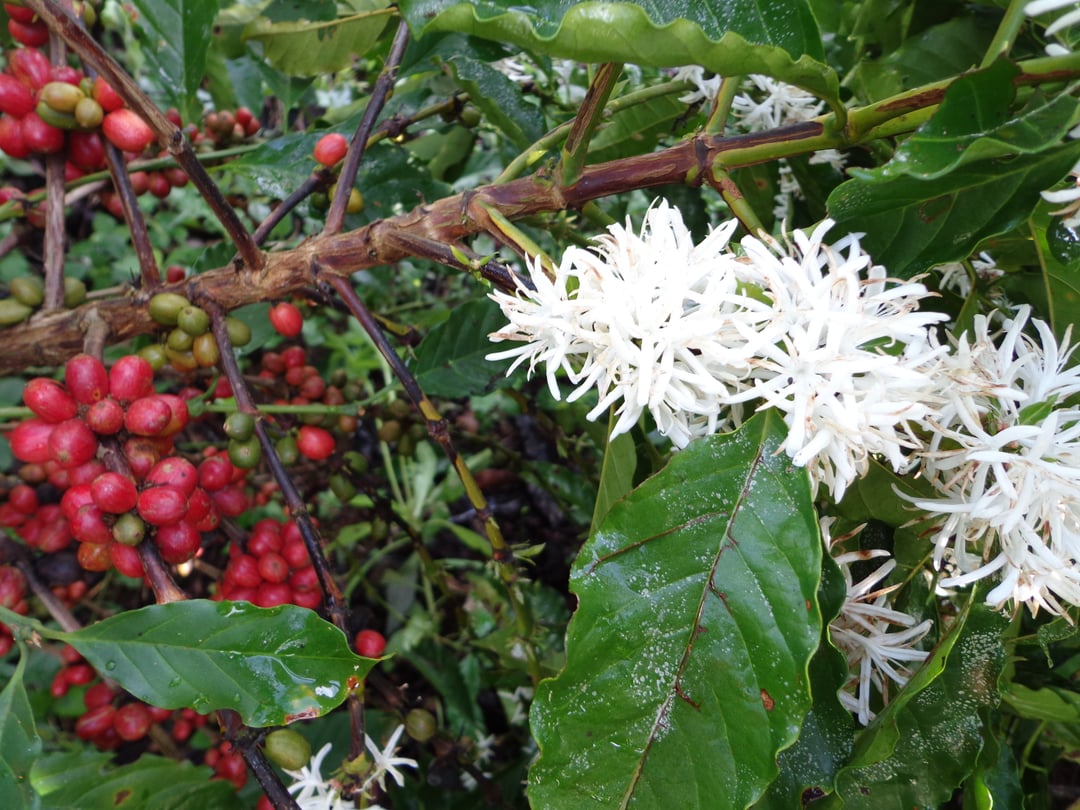 LATTE enters Climate Finance Lab