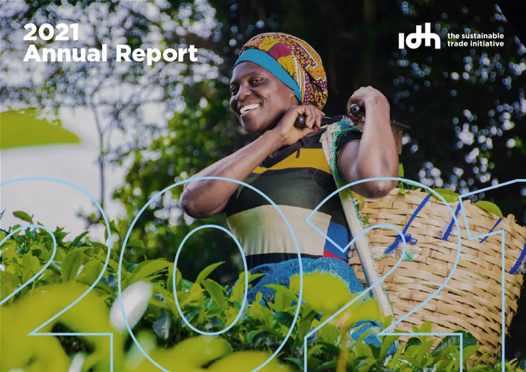 IDH 2021 Annual Report
